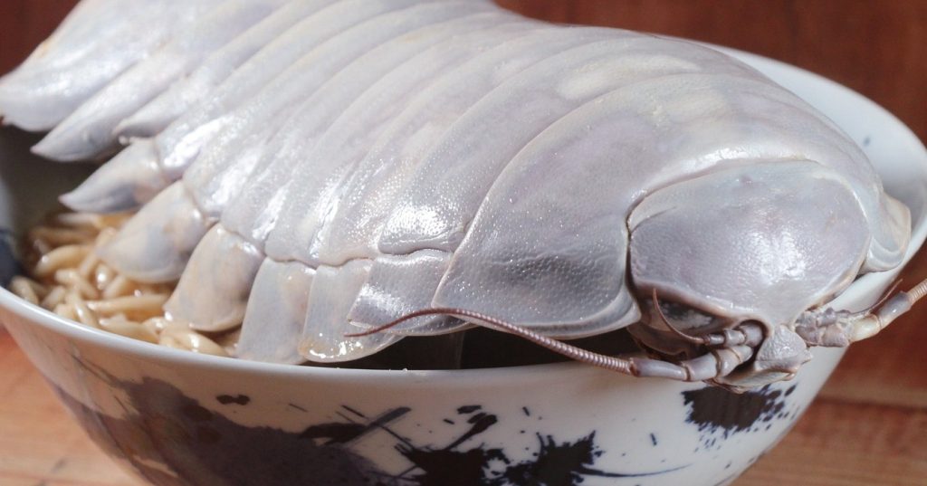 Dit restaurant in Taiwan serveert gigantische alien Isopod ramen - SGXL.NL