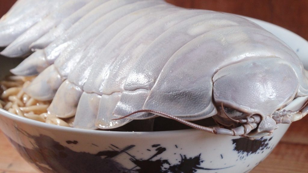 Dit restaurant in Taiwan serveert gigantische alien Isopod ramen - SGXL.NL