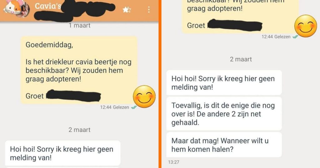 Marktplaats-verkoper en koper hebben vriendelijkste gesprek ooit