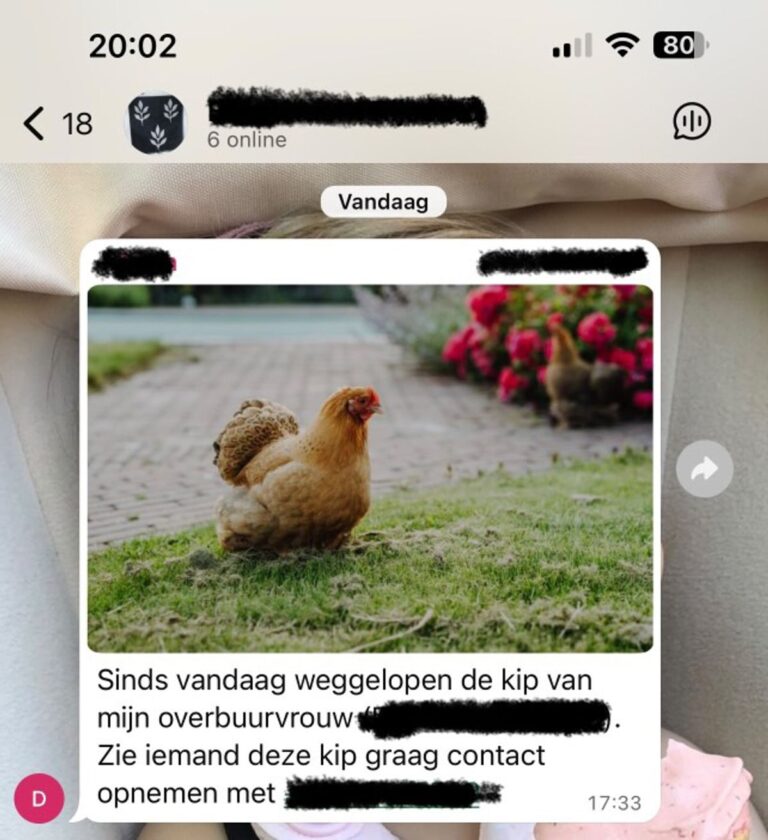 Grapje in Buurt WhatsApp over weggelopen kip valt helemaal verkeerd