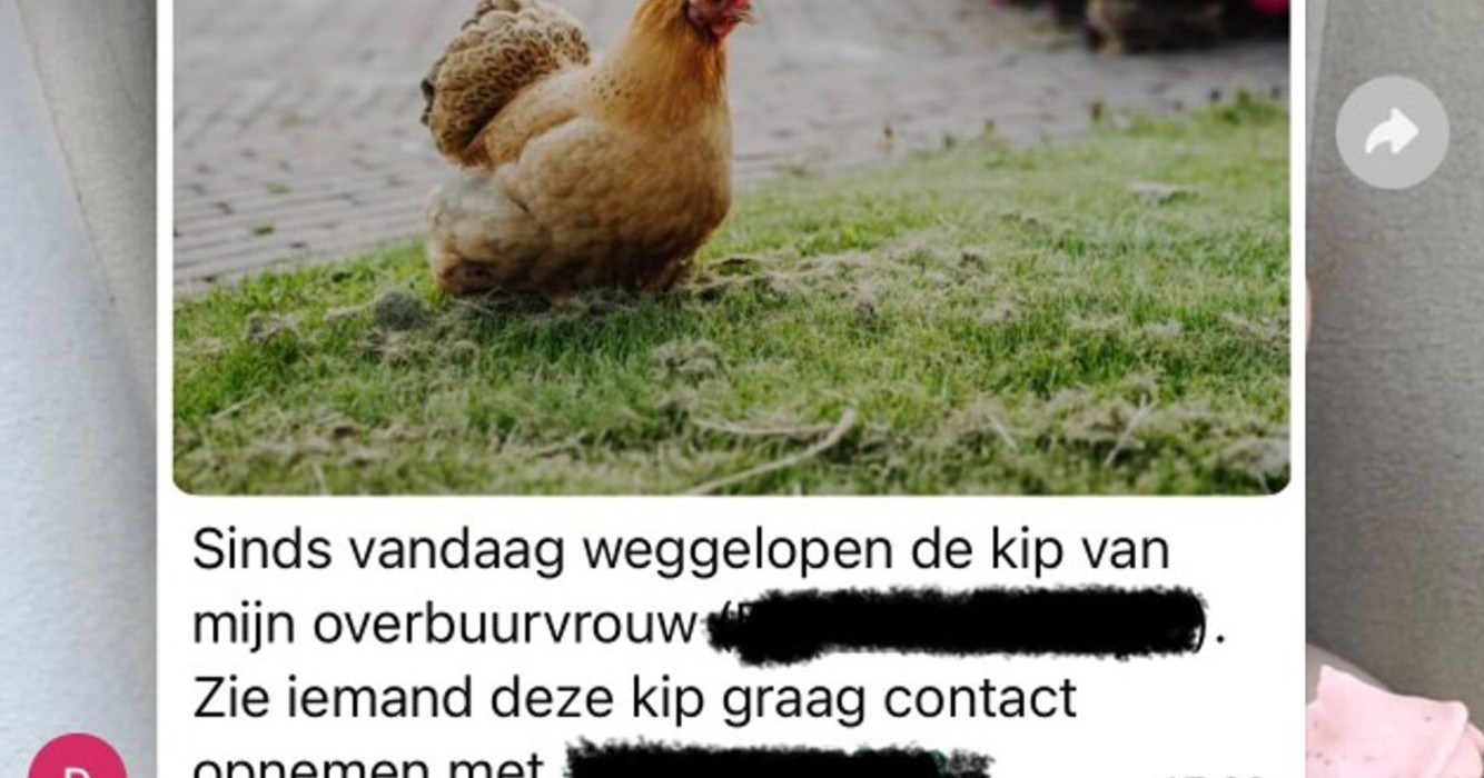 Grapje in Buurt WhatsApp over weggelopen kip valt helemaal verkeerd