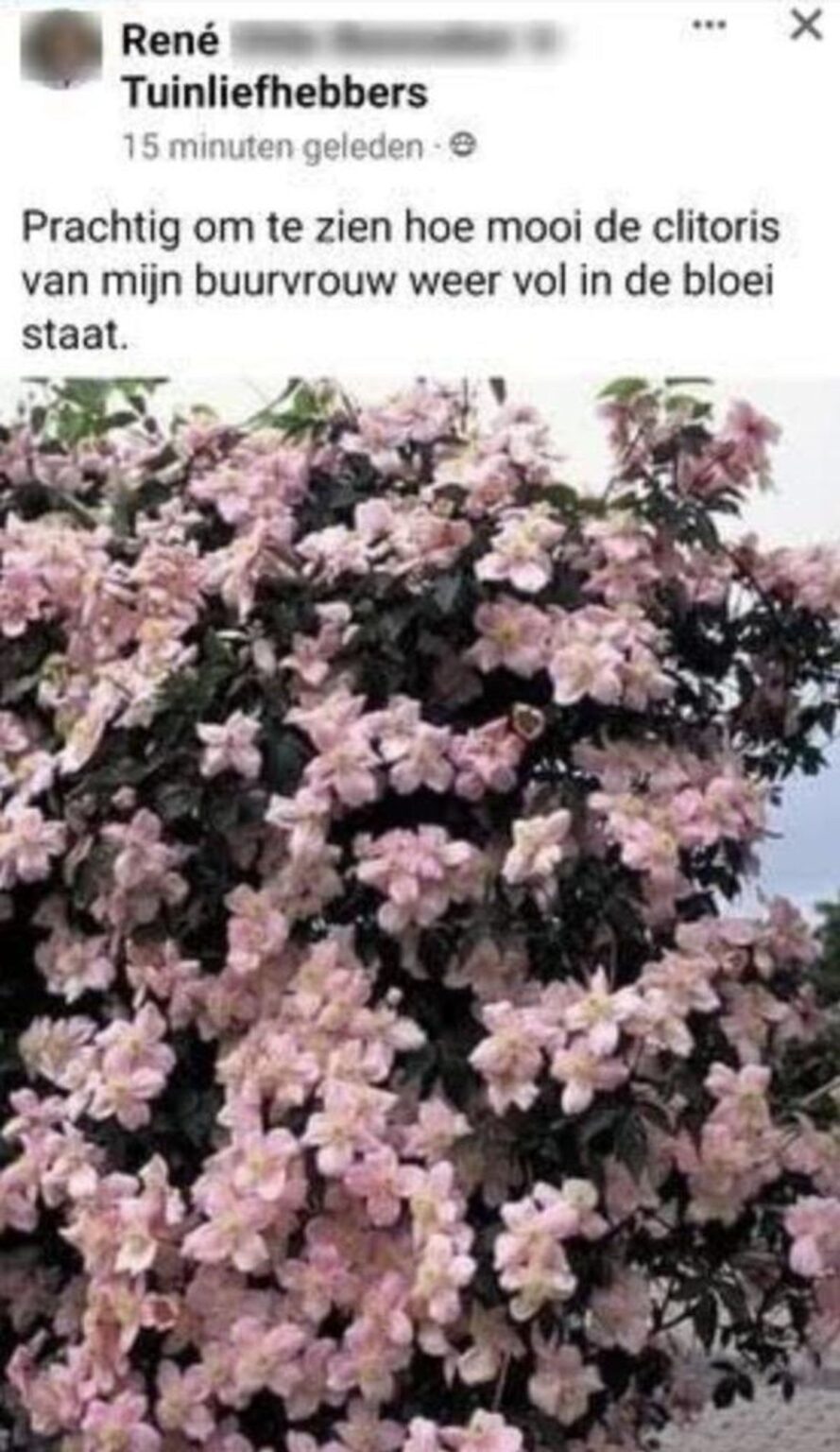 23 mensen die werden gelaten door hun spellingscontrole